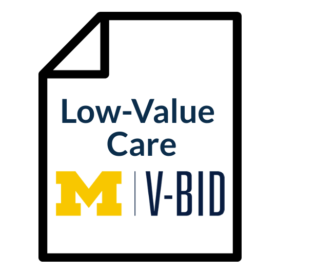 2019 V-BID Center Year in Review | University of Michigan V-BID Center